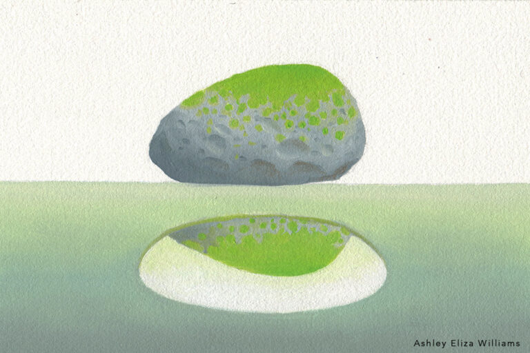 Author: Carrie Allison - Dilettante Army