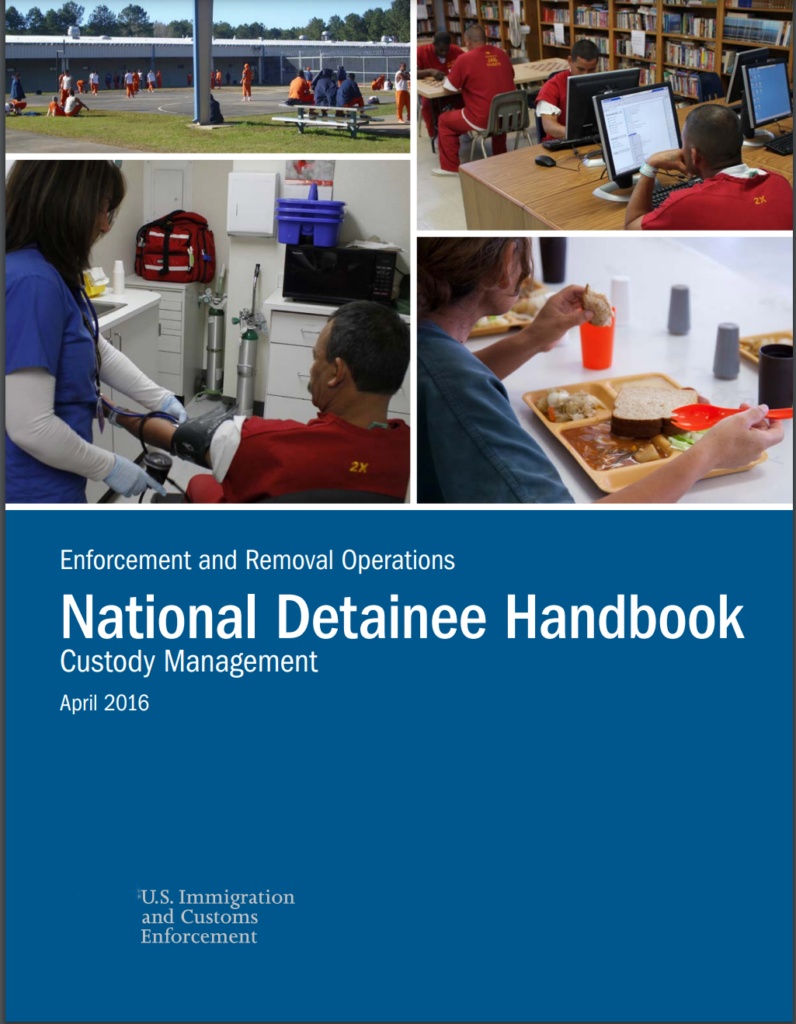 Documenting Detainment: The Carceral Design of ICE’s National Detainee ...